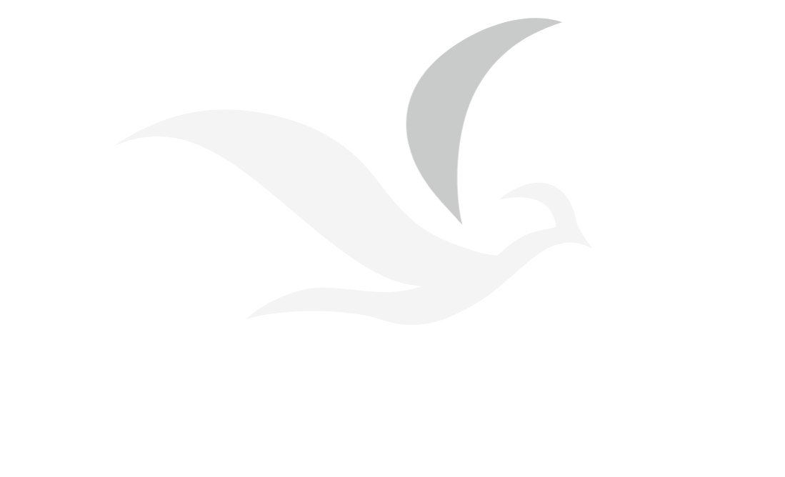 About – Might Academy